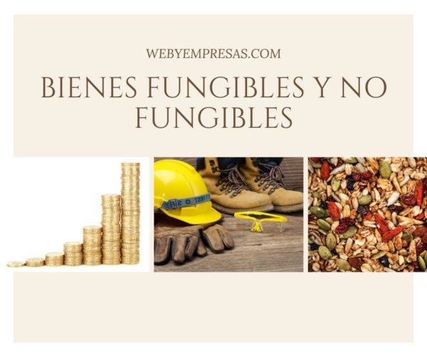 Diferencia entre bienes fungibles y no fungibles - Web y Empresas