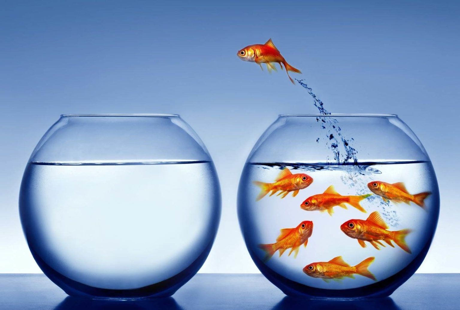 Estrategia Del Océano Azul (Qué Es, Origen Y Principios Básicos) - Web ...