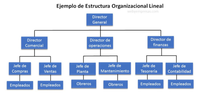 4 Ejemplos de Estructura Organizacional - Web y Empresas