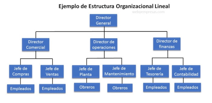 Estructura Organizacional: Definición, Tipos, Ventajas Y Ejemplos – CJCP