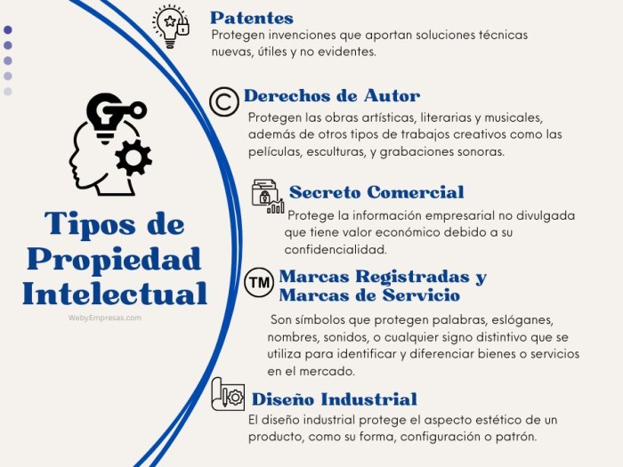 5 Tipos de Propiedad Intelectual - Web y Empresas