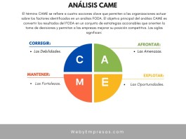 Análisis CAME: Qué es, Cómo se Hace, Ejemplos - Web y Empresas