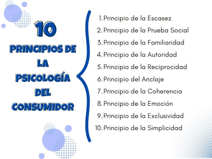 10 Principios de la Psicología del Consumidor: Comprendiendo Cómo Tomamos Decisiones - Web y ...
