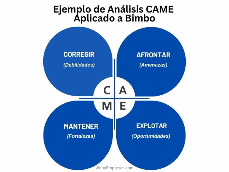 Ejemplo de Análisis CAME Aplicado a Bimbo - Web y Empresas