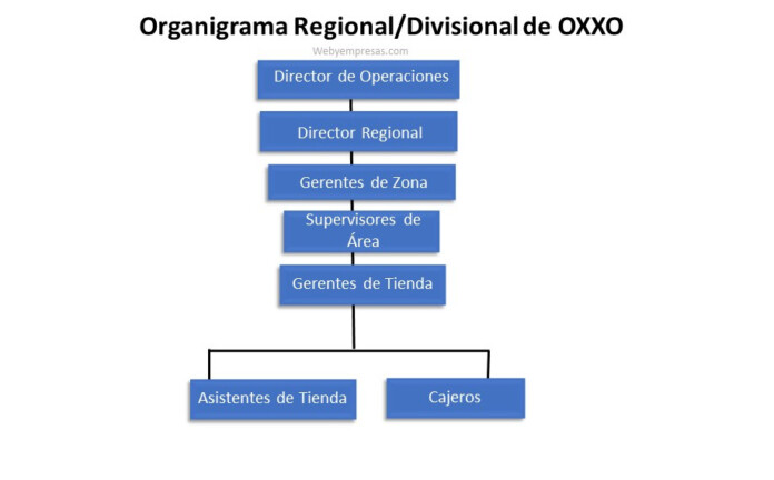 La Estructura Organizacional de OXXO: Un Modelo de Eficiencia y ...